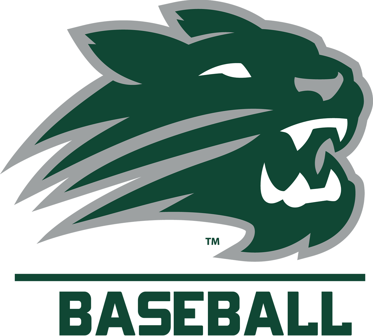 PaySchools Events - Jenison Summer Baseball Camp 2024